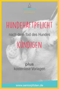 Hundehaftpflicht Kndigen Wegen Tod